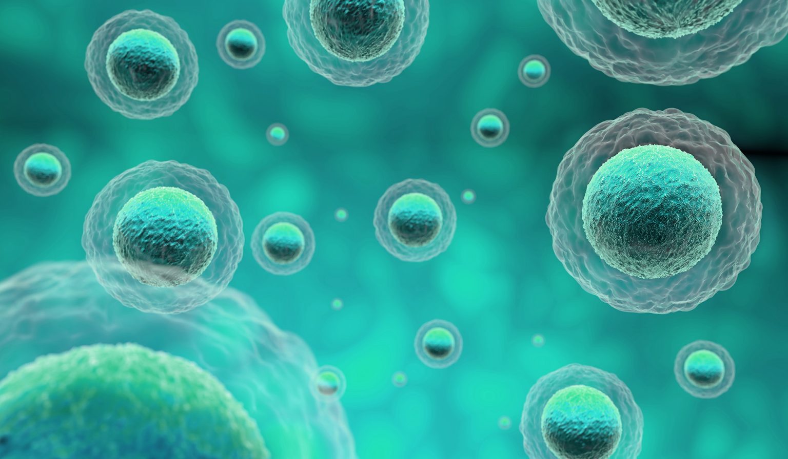 Biotechnology and Aging: Can we really extend life?