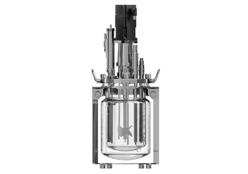Glass Reactor for bioprocess solutions - TECNIC