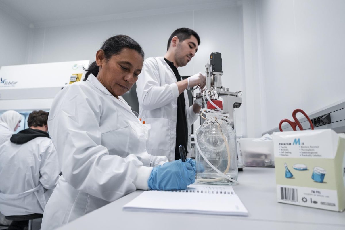 ¿Qué es un biorreactor? Todo lo que necesitas saber